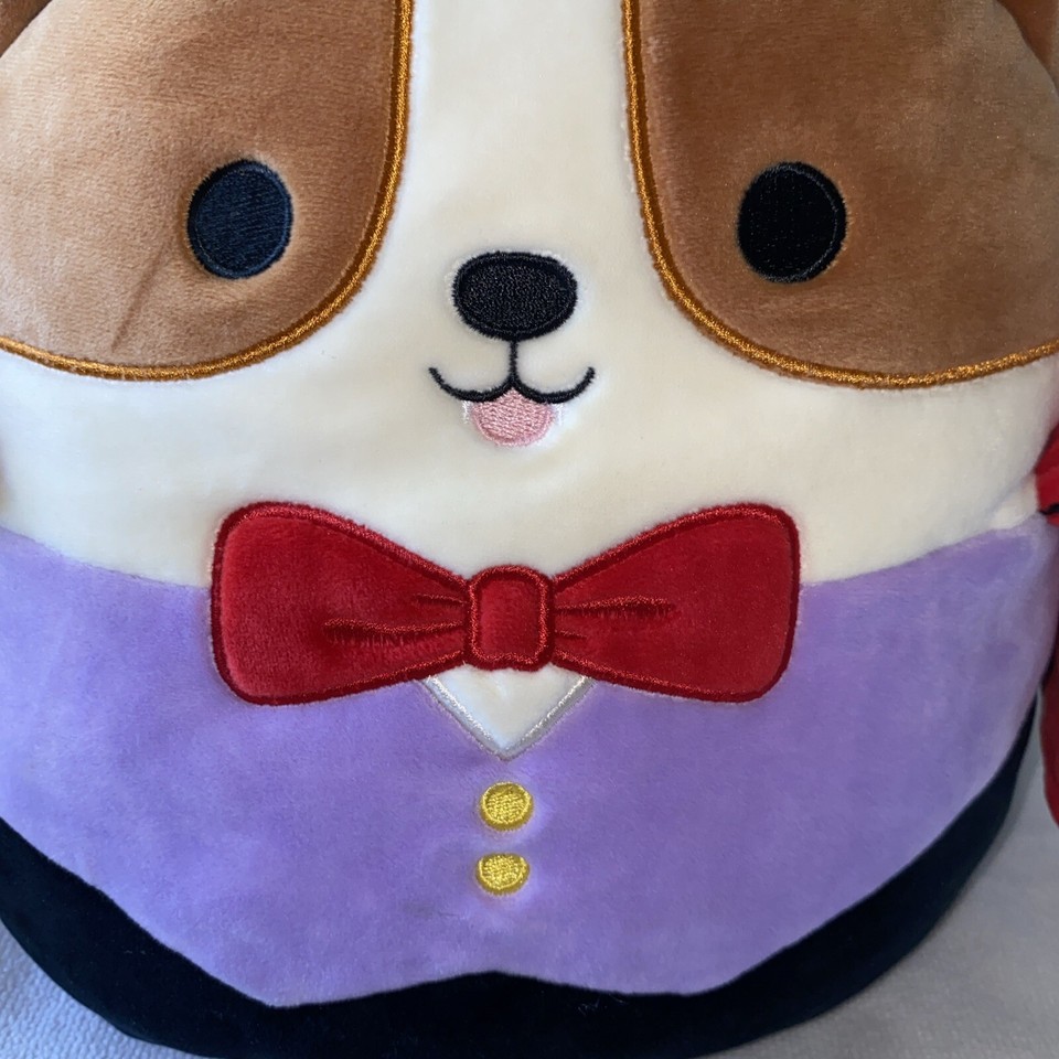 Squishmallows Reginald Vampire Corgi Treat Pail Ultra Soft Official ...