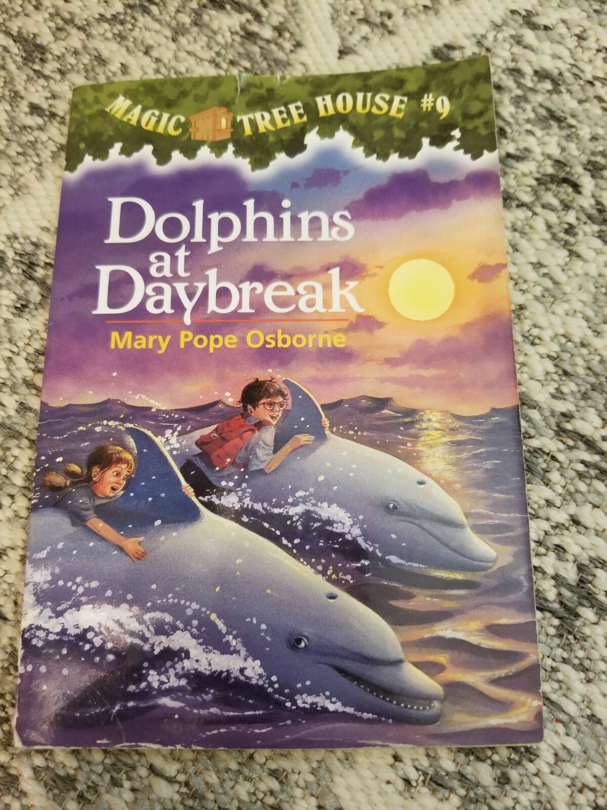 A Stepping Stone Book Ser.: Dolphins at Daybreak by Mary Pope Osborne ...