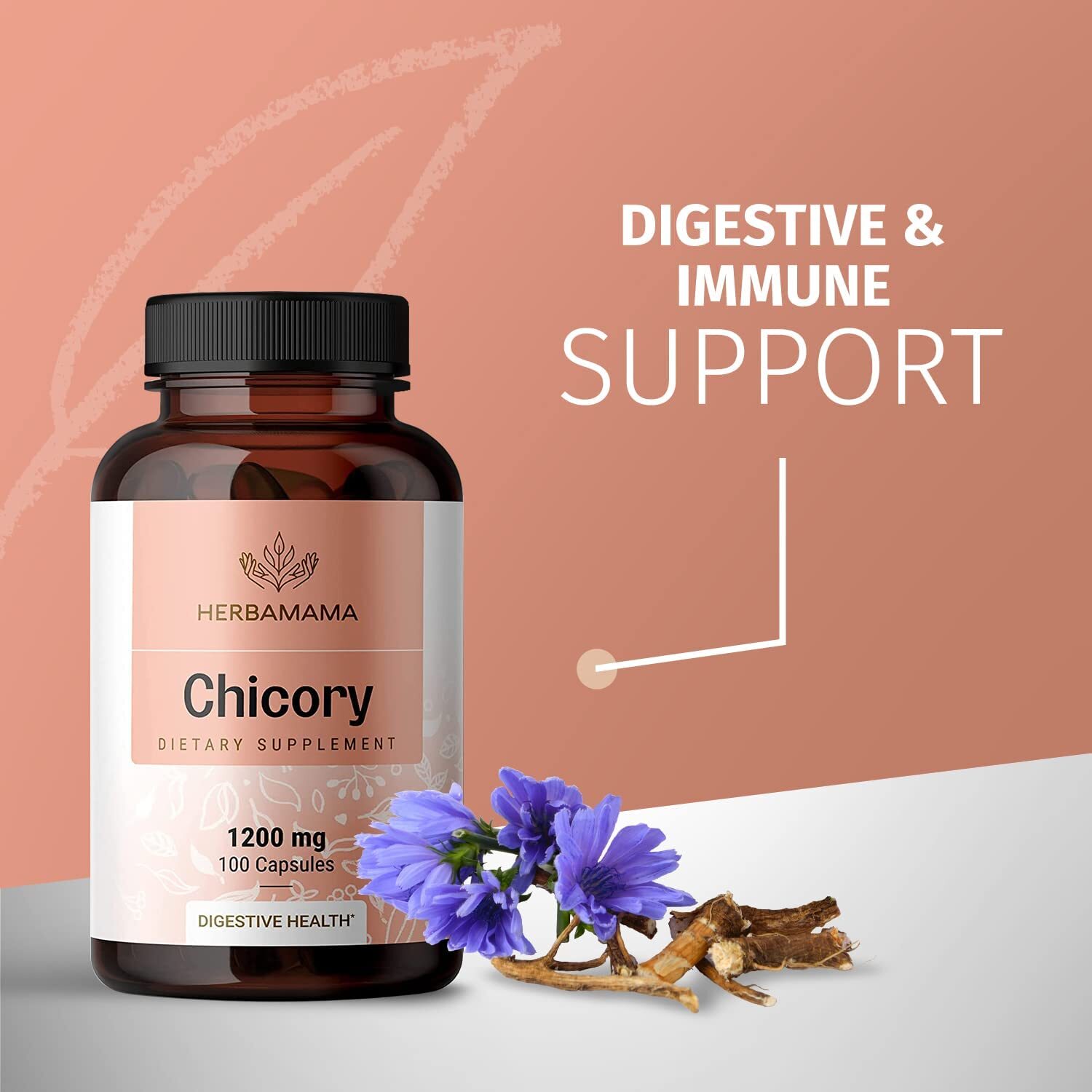 Chicory 100 Capsules 1200 mg Filled with Organic Chicory Root | Inulin ...