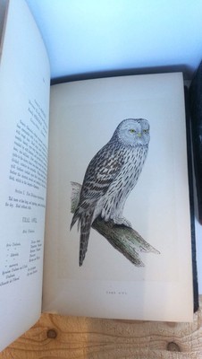 Charles Robert Bree A history of the birds of europe, not observed in ...