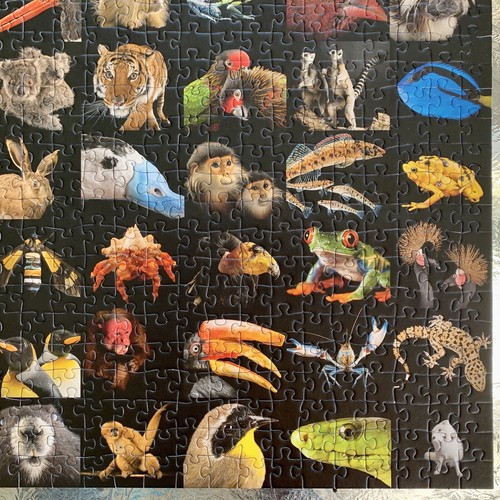 Ravensburger Jigsaw Puzzle 99 Amazing Animals 1000 Pc Natl Geographic ...