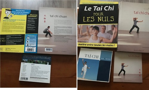 LOT DVD TAI CHI 1 DVD + 1 CD + LIVRE TAI CHI POUR LES NULS + TAI CHI ...