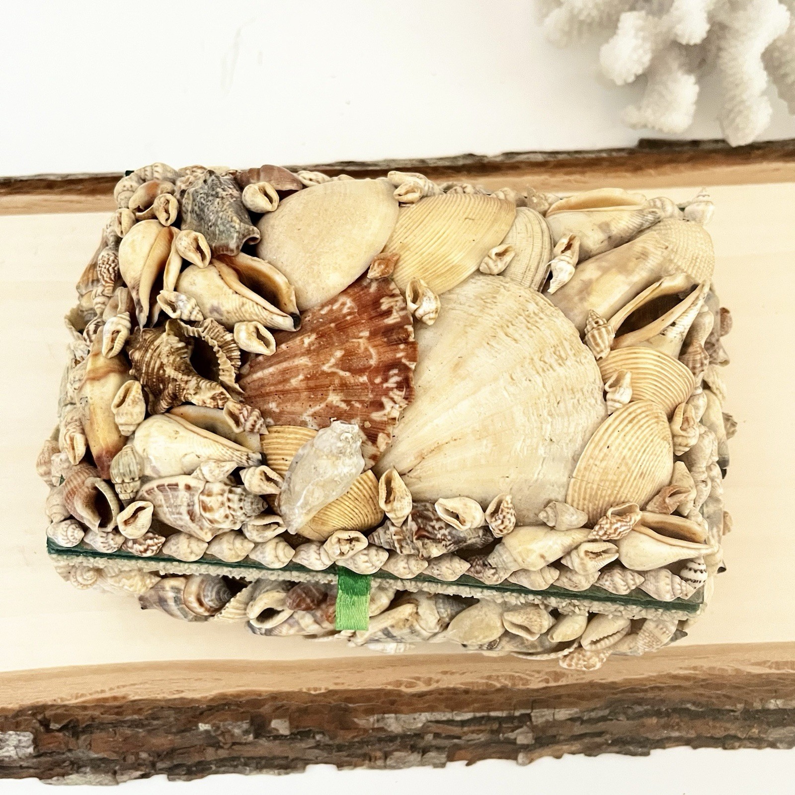 Vintage SEASHELL Jewelry TRINKET BOX Nautical Ocean Sea Shell Rectangle ...