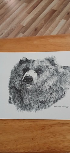 Vintage Douglas M HAAG Grizzly Bear Wildlife Print | eBay