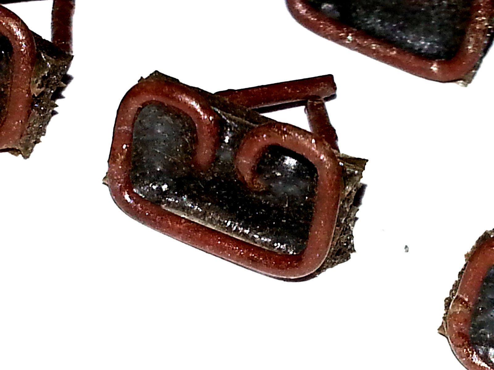 5/16"x1/2" Body Fender Molding Trim Clips Fits Chrysler Dodge Plymouth ...