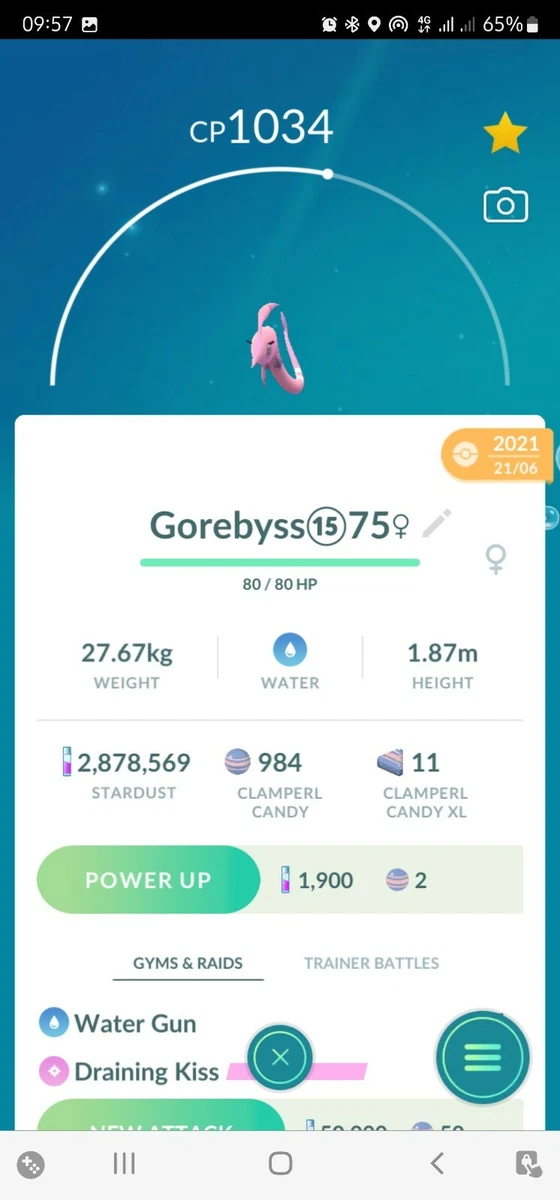 Pokemon Huntail And Gorebyss