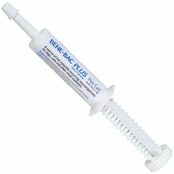 Bene-bac Plus Probiotic Pet GEL 15g Each X 3 Syringes Effective High ...