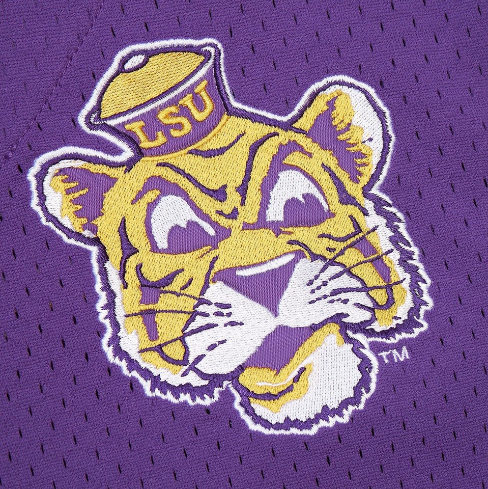 Men's Mitchell & Ness Purple LSU Tigers Game Time Vintage Mesh Button ...