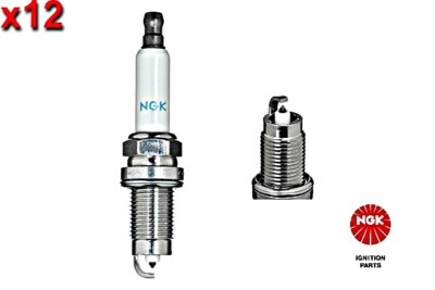 NGK 12x Spark Plug For AUDI A8 4E VW Bora Golf Mk4 Phaeton 00-16 ...