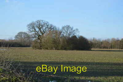 Photo 6x4 Wooded pond Etling Green c2015 | eBay UK