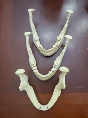 X3 Dental Mandible set inplant | eBay
