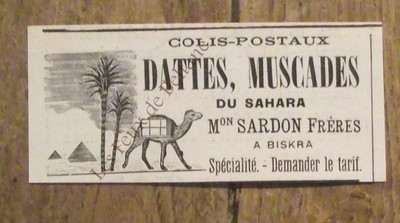 Publicité ancienne Dattes Muscades Maison Sardon Biskra 1897 | eBay