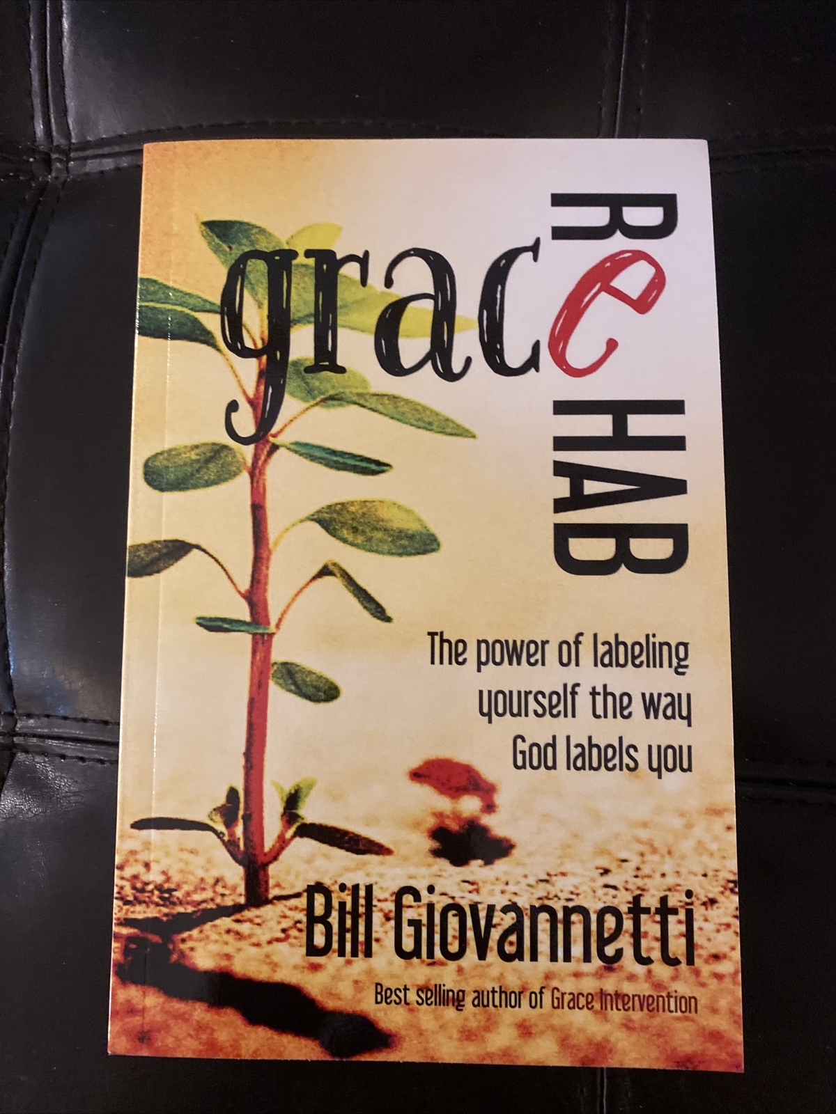 Grace Rehab : The Power of Labeling Yourself the Way God Labels You by ...