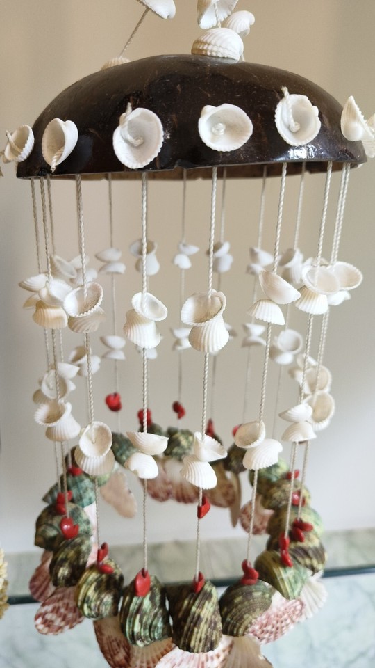 Beautiful Seashells Coconut Shell Hanging Spiral Dangling Windchimes ...