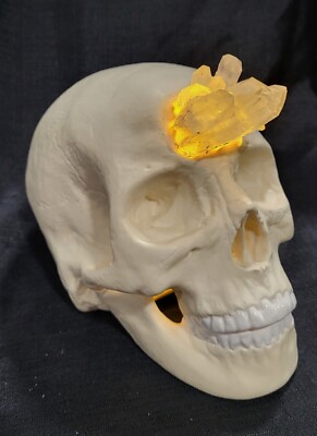 Human Skull Crystal Skulls Ceramic Skull LED Lamp #25 Life Size 9 Volt ...