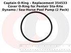 354533 Cover O-Ring for Pentair Sta-Rite Dynamo/Sea-Horse Pool Pump (2 ...