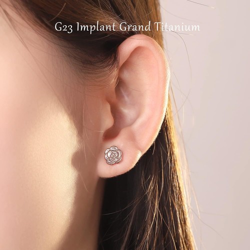 Implant Grade G23 Titanium Stud Earrings for Sensitive Ears Post ...