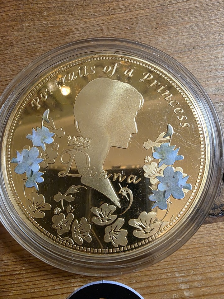Diana Portraits of a Princess Supersize 70mm Proof Gold Plated Coin ...