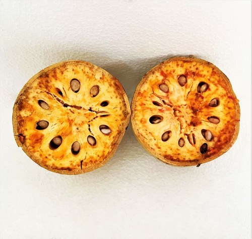 300+ Dried BAEL FRUIT LEAVES Beli Mal Leaf Tea, Bilva, Bel Patri- Aegle ...