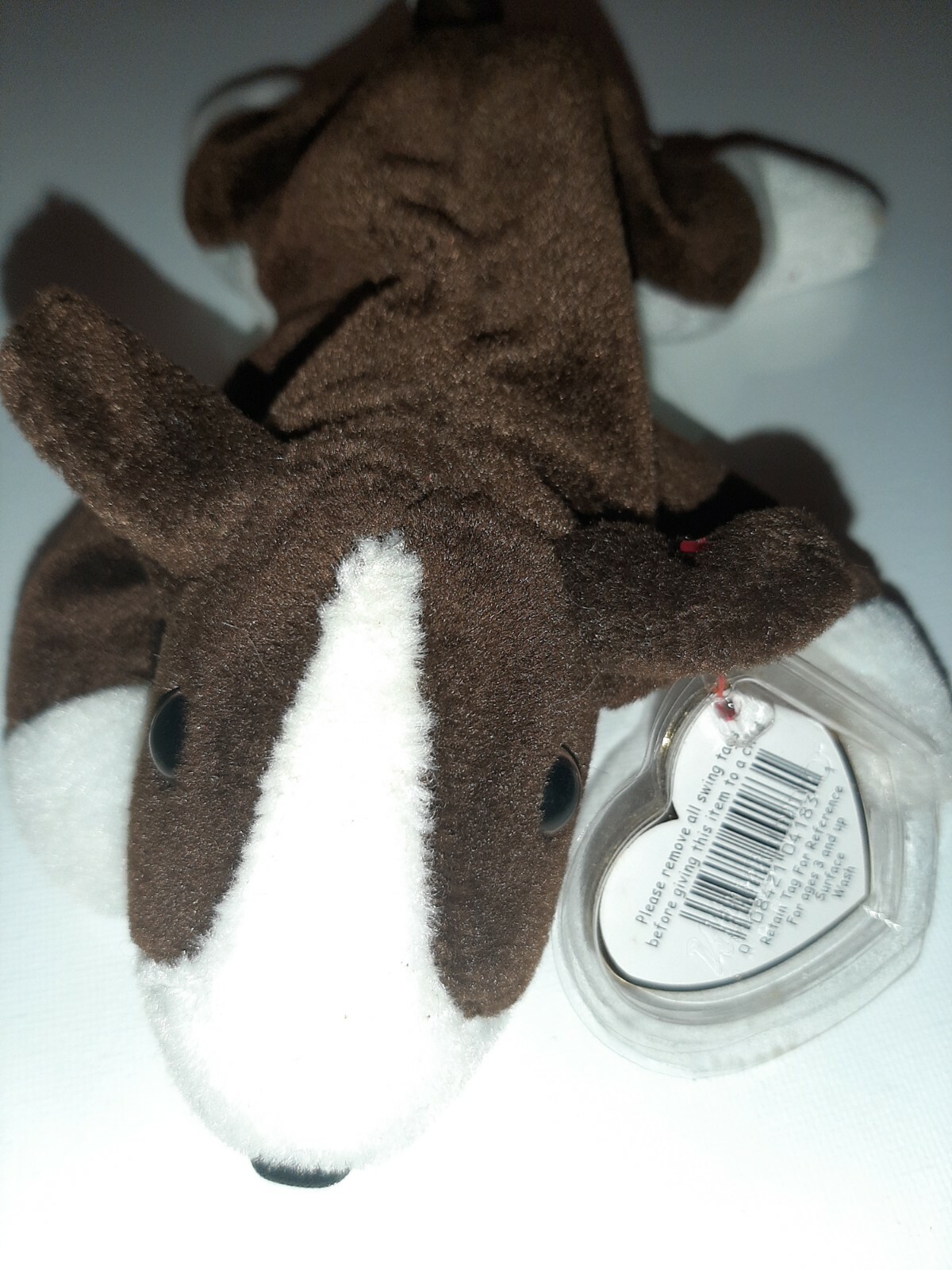 RARE ty Beanie Baby BRUNO-NEW with 3 major errors! Don't miss ...