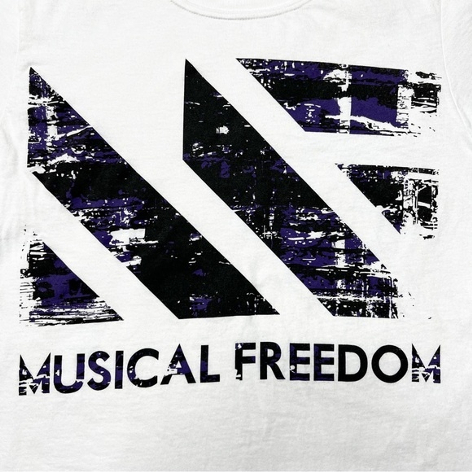 NWOT Musical Freedom Record Label Logo Gildan Graphic T-Shirt Unisex Sz ...