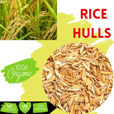 RICE Hulls Premium All Natural Rice Hulls 100% Organic Bulk Husks ...