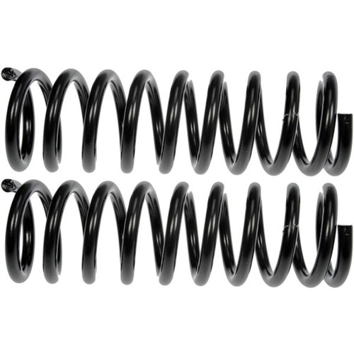 566-175 Dorman Set of 2 Coil Springs Front or Rear for Chevy Olds Le ...