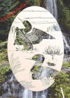 LOON STATIC CLING WINDOW DECAL New Oval 8x12 Vinyl Wild Ducks Glass ...