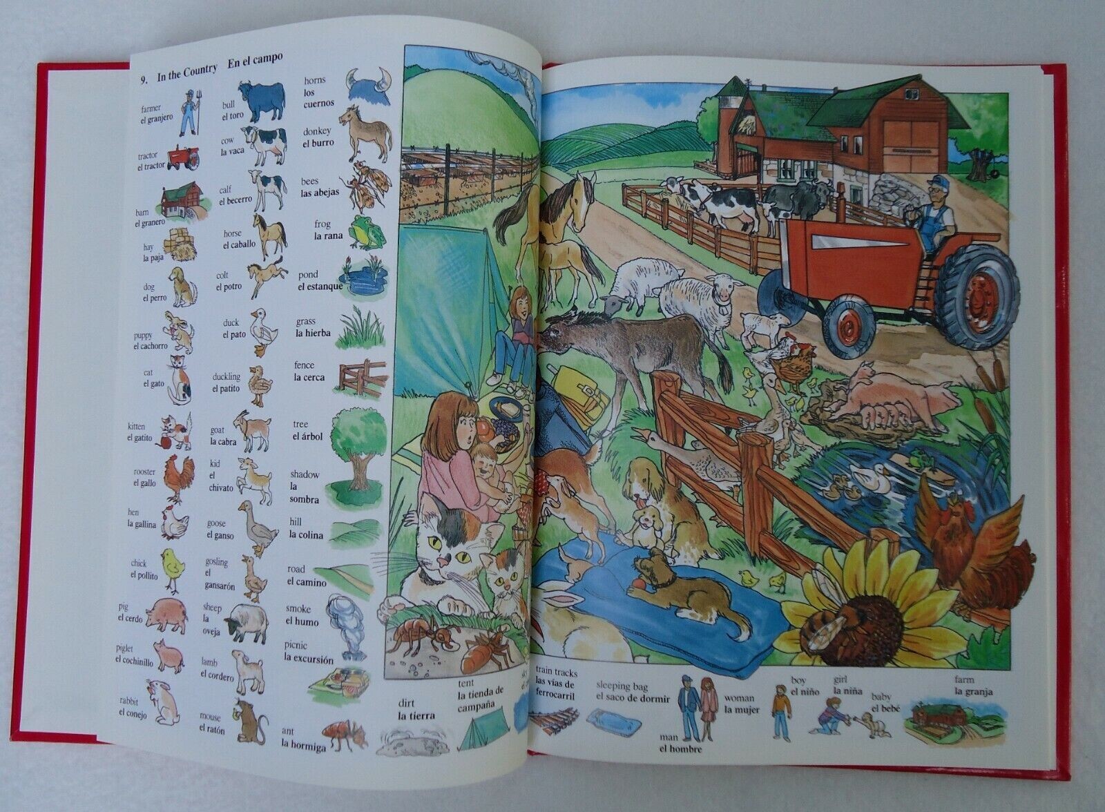 Let's Learn Spanish Picture Dictionary (English and Spanish Edition ...