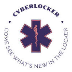 cyberlocker | eBay Stores