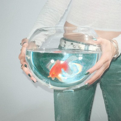 Fish Narc Frog Song (Vinyl) 12" Album (US IMPORT) | eBay Australia