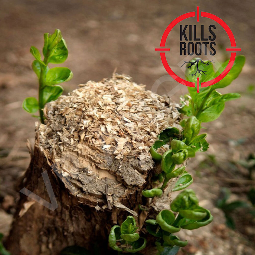 Extra Strong Weedkiller Doff Advanced Concentrated Weed & Roots Killer ...