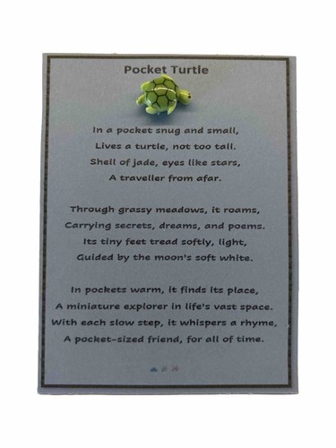 Cute Lucky Charm Gift , Pocket Turtle, Across The Distance - Friendship ...