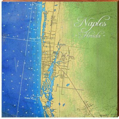 Naples, Florida Topographical Styled Map Square Wall Art | eBay