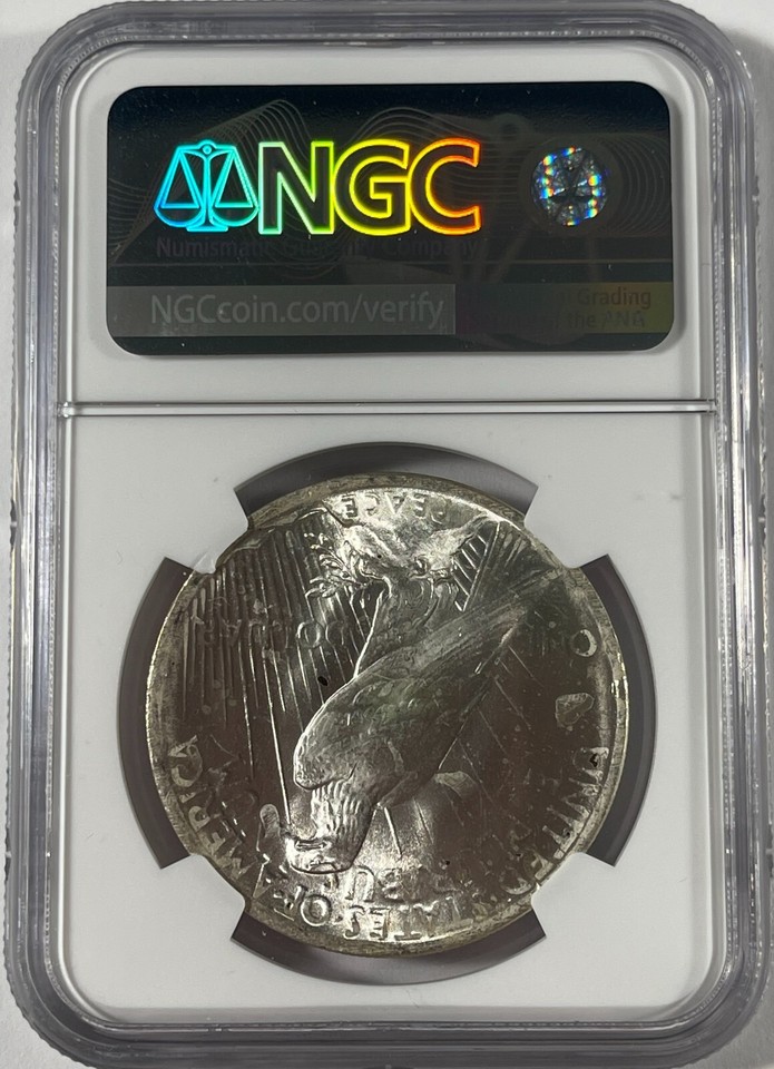 1923 Peace $1 NGC MS64 (#19290 ) Blazing white Some spots. Small ...