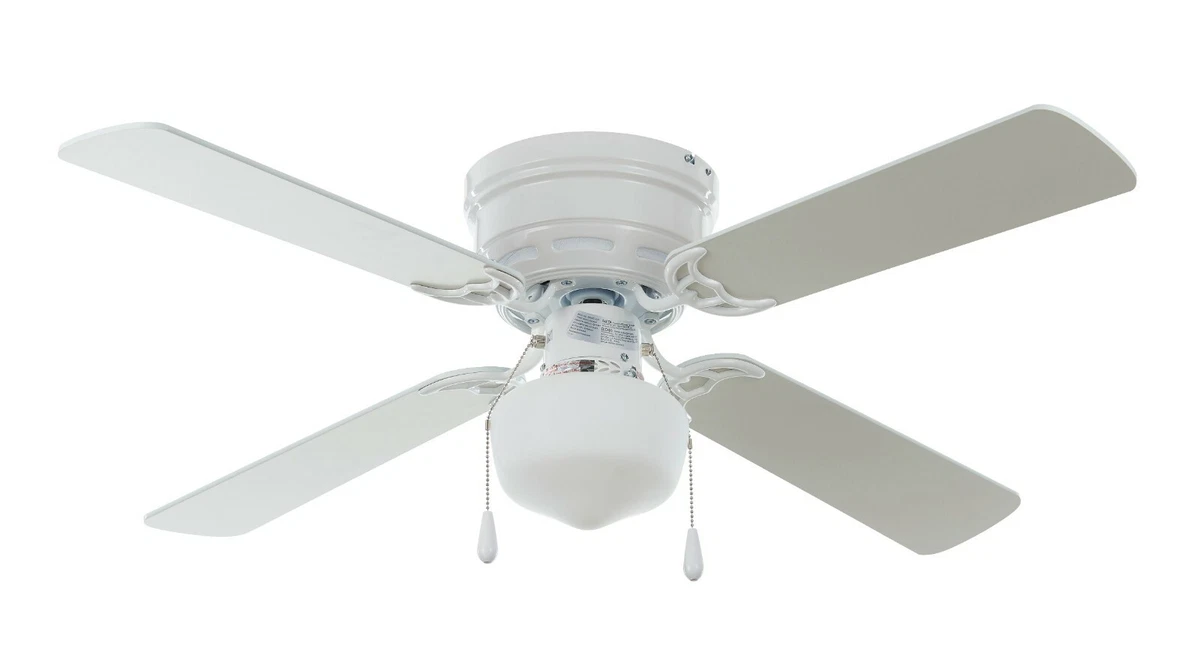 Ceiling Fan With Single Light