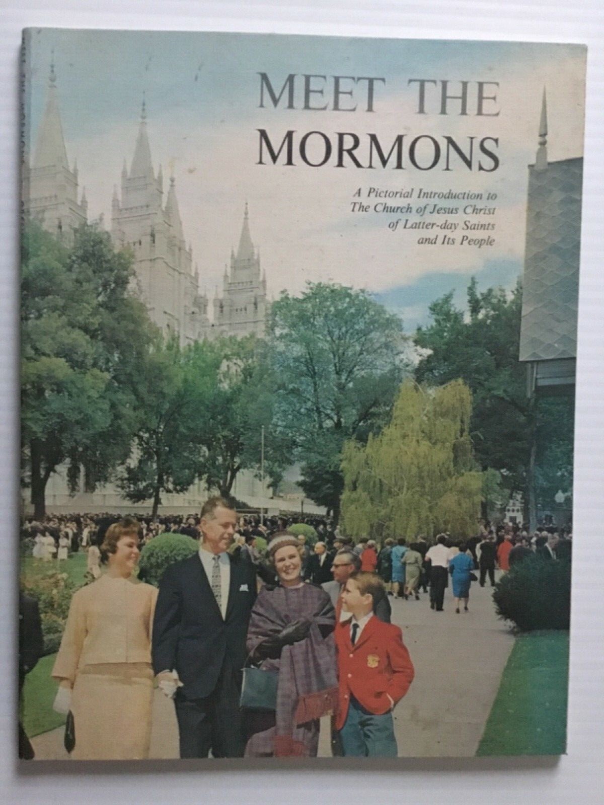 Meet The Mormons Poster
