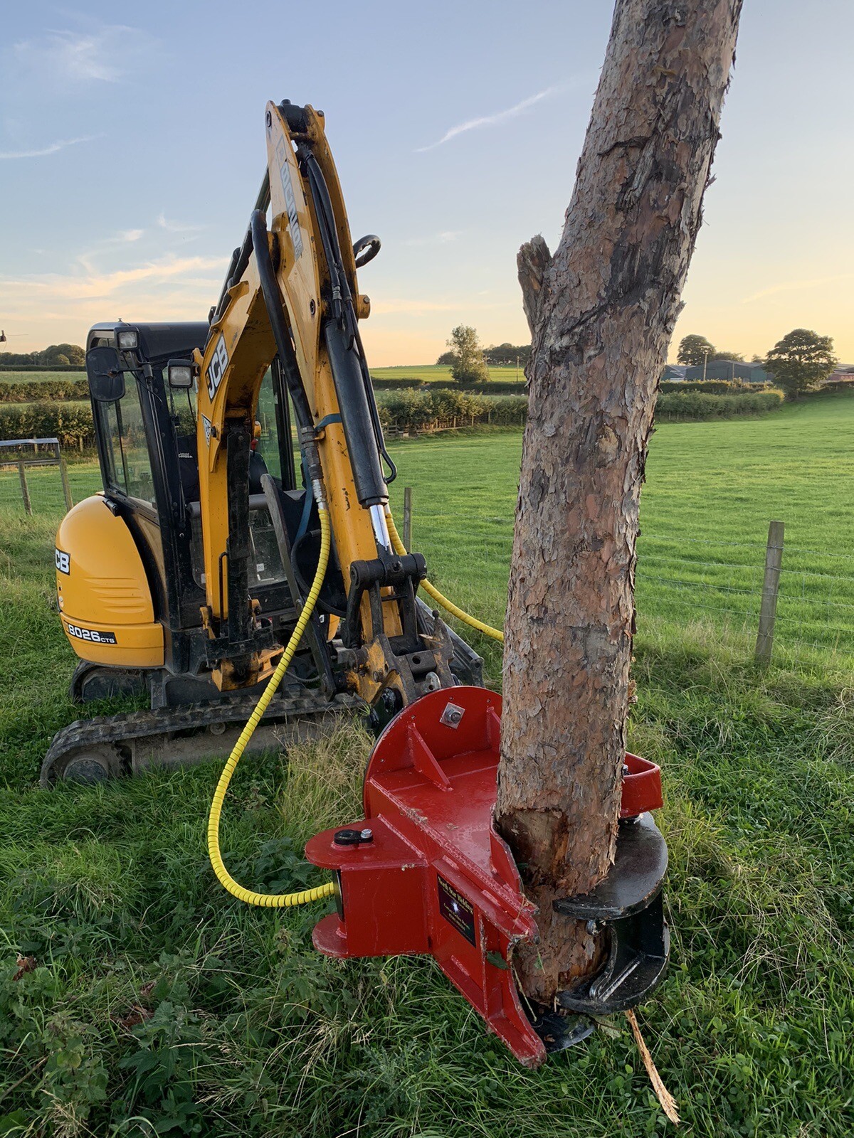 Tree shear Rotator | eBay UK