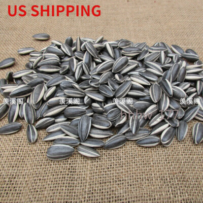 Ai Weiwei Genuine Porcelain Sunflower Seed - from China Modern 2010 ...