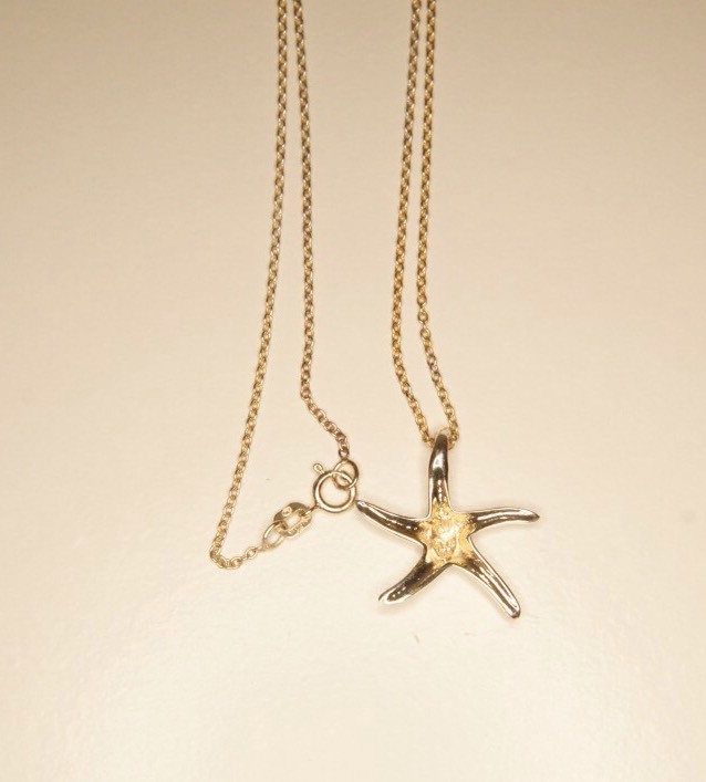Sterling Silver Starfish Pendant On 16" 1mm Cable Chain Marine Ocean ...