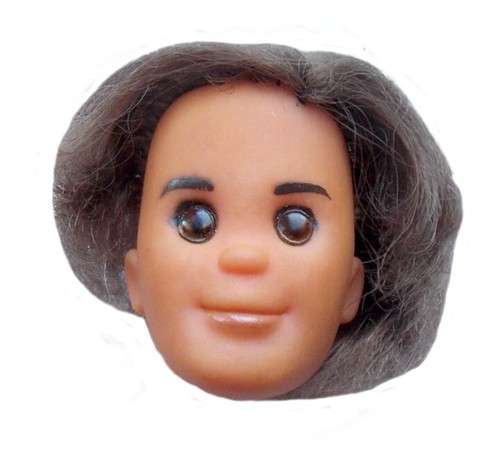 1973 SUNSHINE FAMILY 9" mattel doll -- DAD STEVE -- HEAD with Brown ...