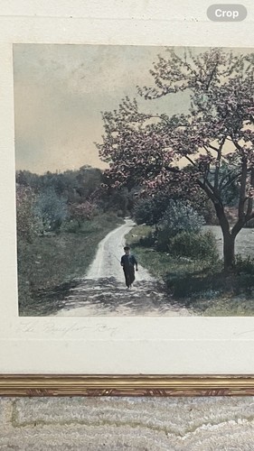 DAVID DAVIDSON “ THE BAREFOOT BOY HAND COLORED PHOTO NUTTING ERA EARLY 1900’s | eBay