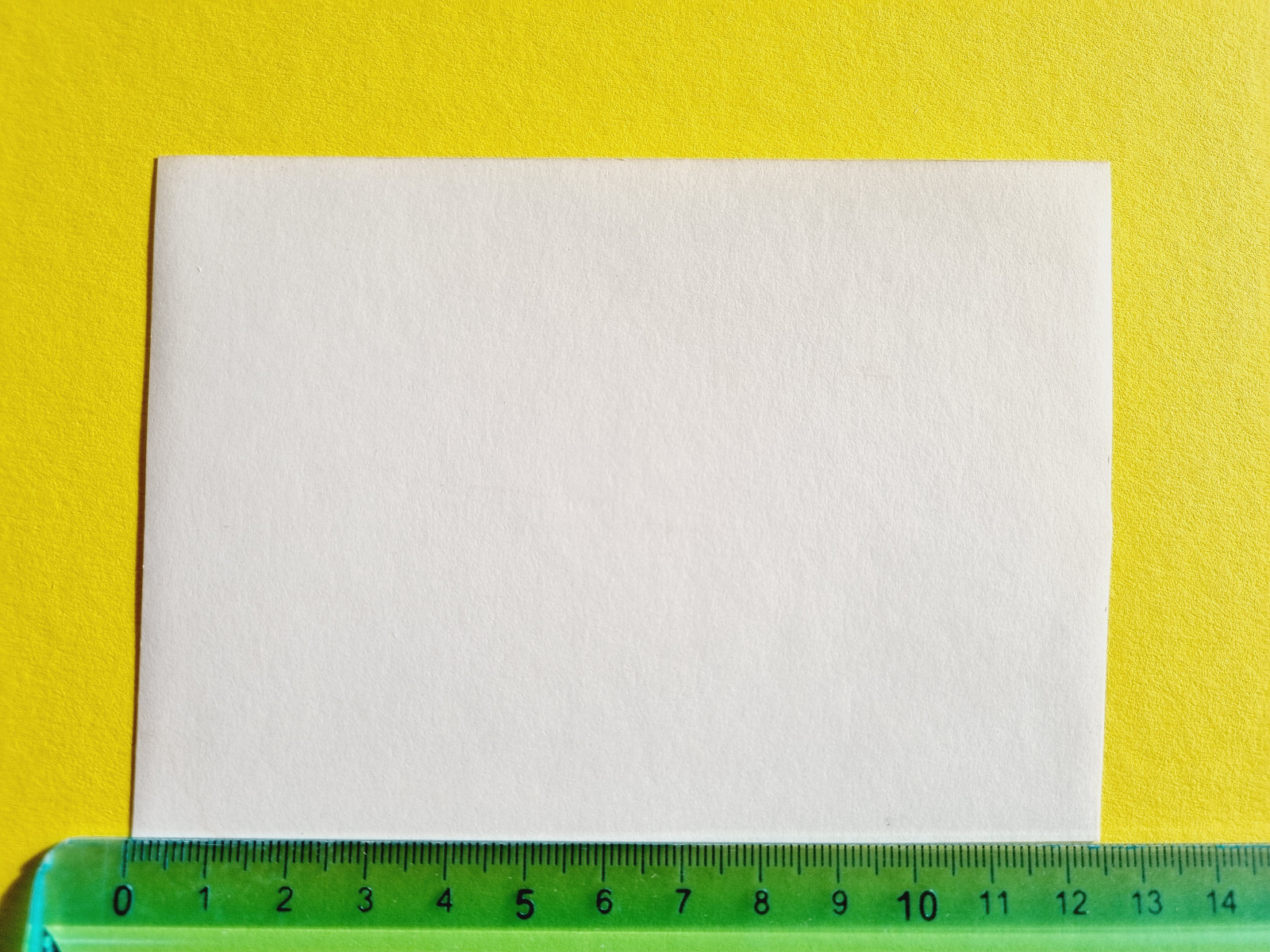 Photographie Lézard Années 60s 70s B/N Photo Vintage Photo Papier | eBay