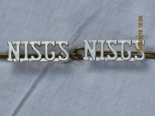 Northern Irlande Sécurité Guard Service, Nisgs , Épaule Titre, Firmin ...