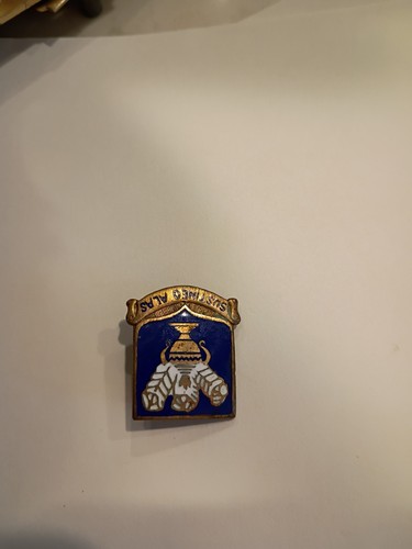 PIN PINBACK LAPEL PIN EMBLEM SUSTINO ALAS BLUE WHITE GOLD ENAMEL BRASS ...