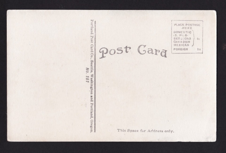 1909 AYPE exposition Hawaii & Oriental Buildings Seattle Washington ...