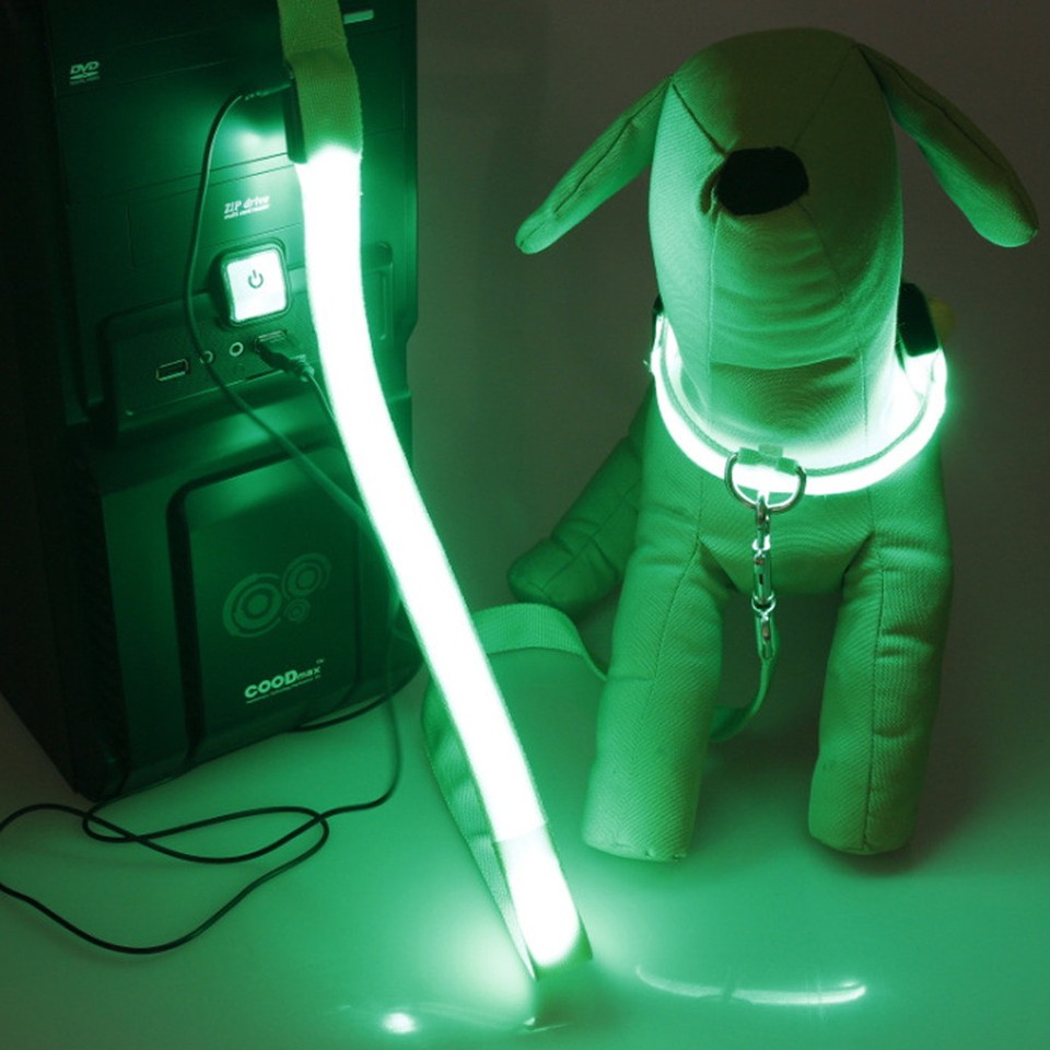 RECHARGEABLE USB LED Dog Pet Light Up Safety Collar Night Glow ...