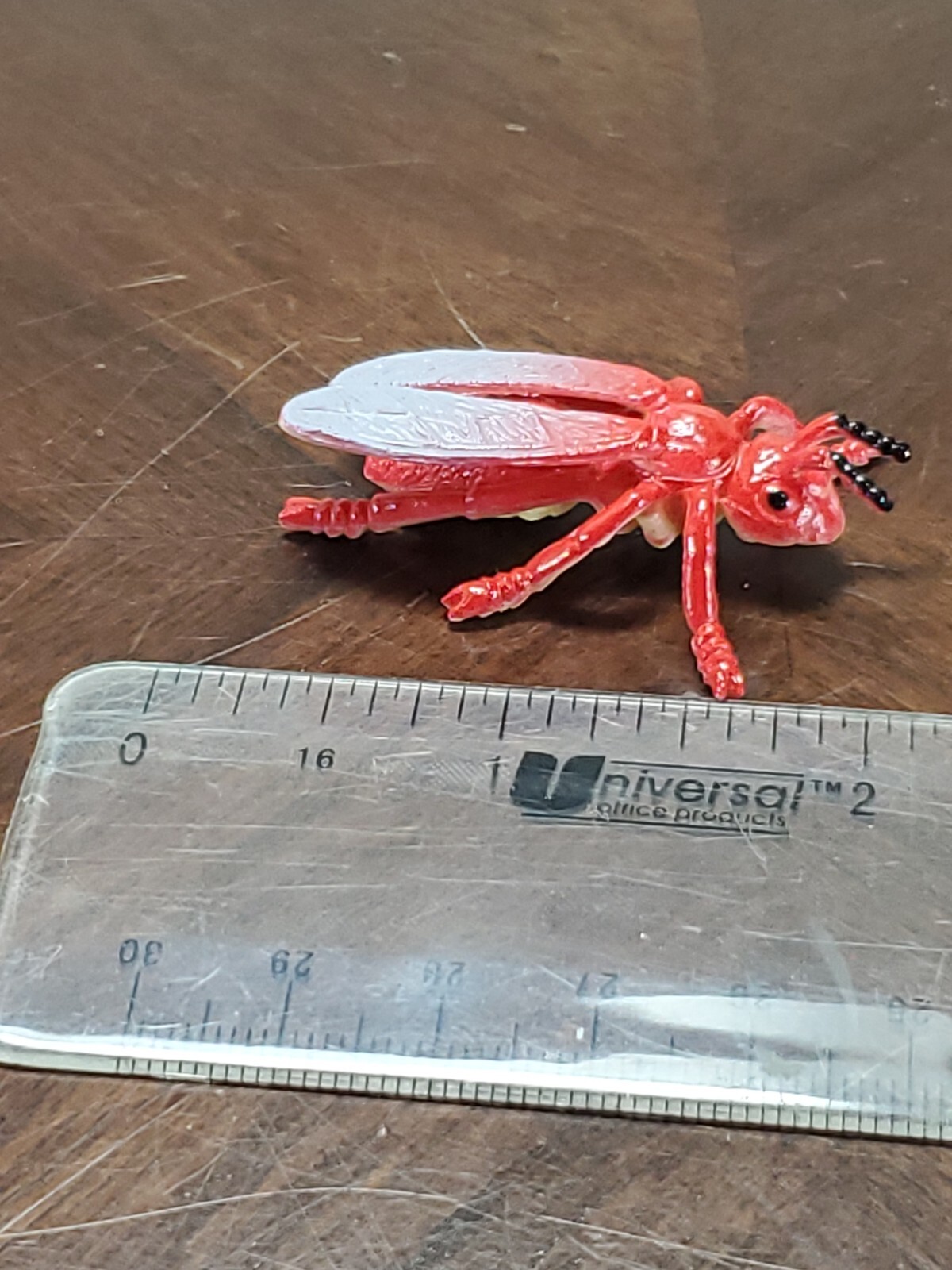 Insect Toy Bug Nature Education Animal MULTICOLOR Detailed Children | eBay