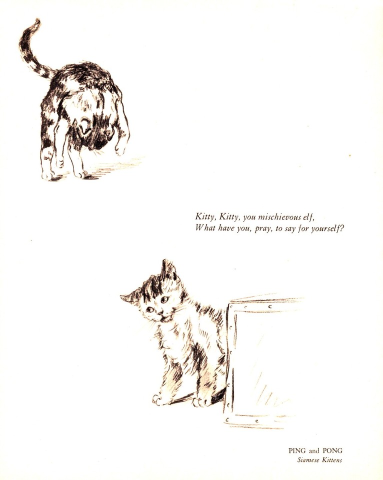PING & PONG, SIAMESE KITTENS Antique original vintage cat print 1941 | eBay