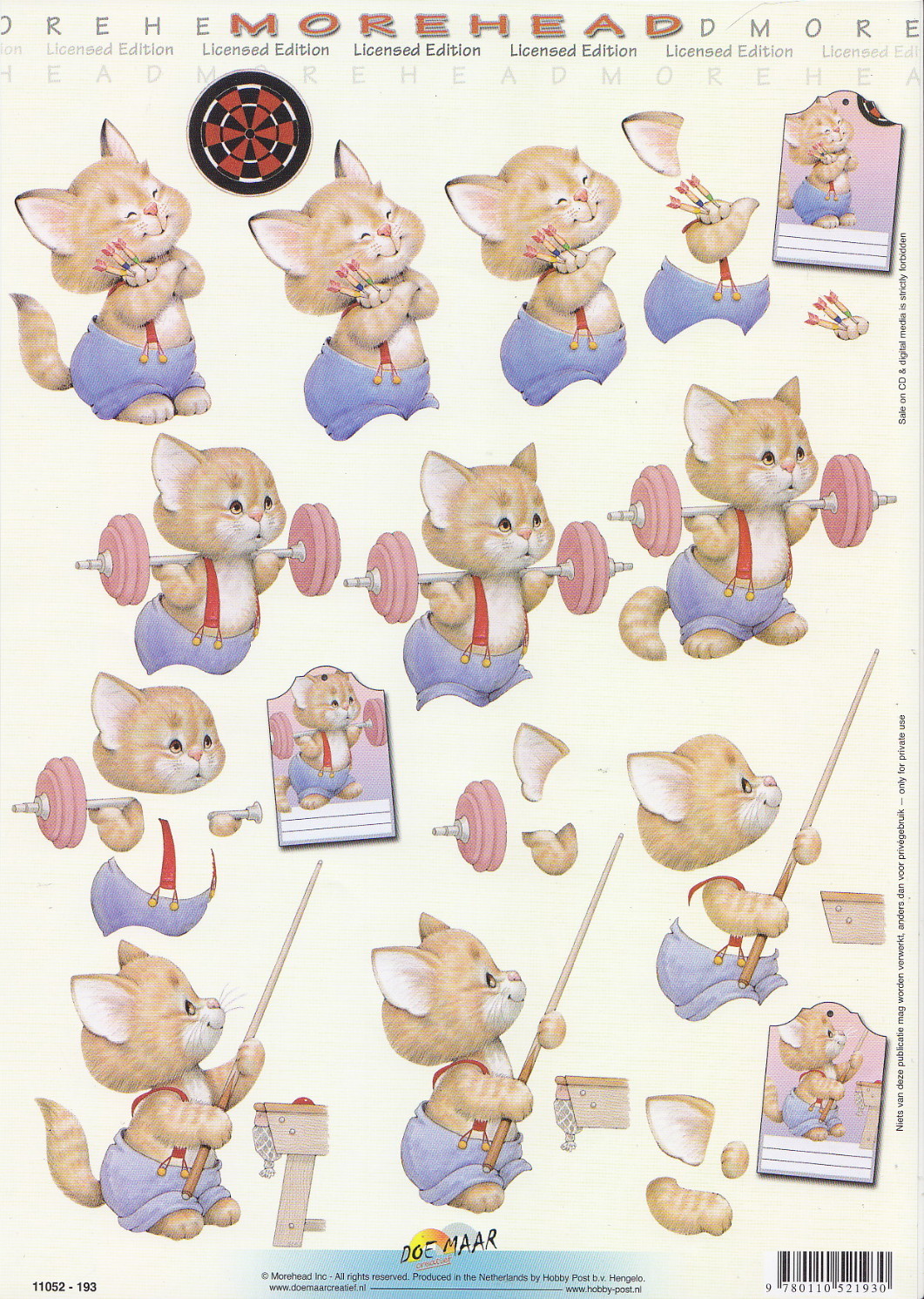 MOREHEAD 3D Bogen-Angel, Dart, Gewichte-193 | eBay.de